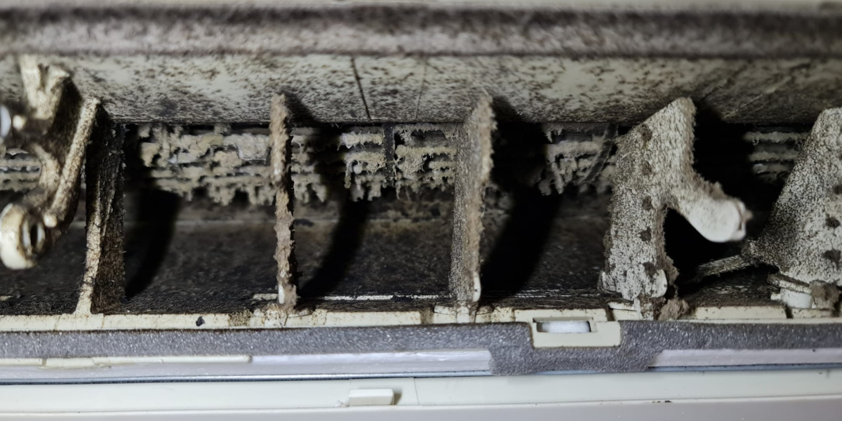 Is Your Air Conditioner Spreading Mould? - DEEPCHILL